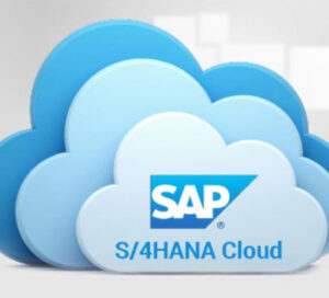 SAP S/4HANA - DTS